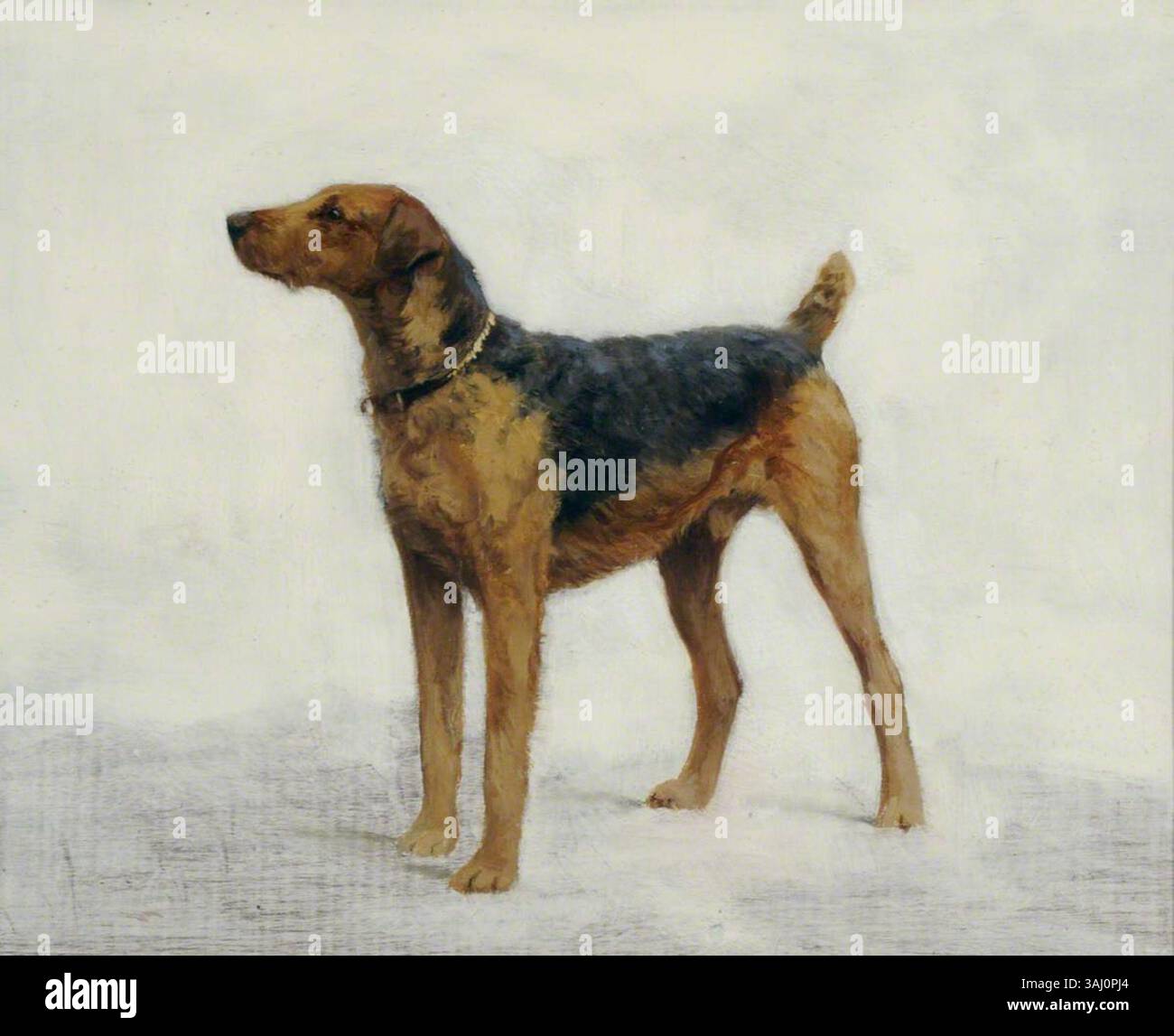 Airedale terrier painting hi-res stock photography and images - Alamy