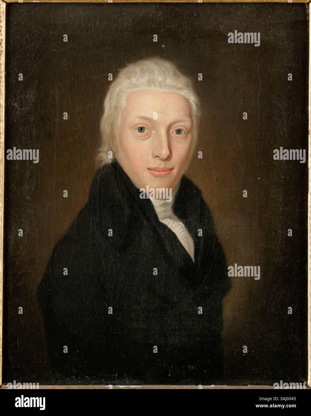 This portrait of Pieter Ver Loren van Themaat, painted by Christiaan ...