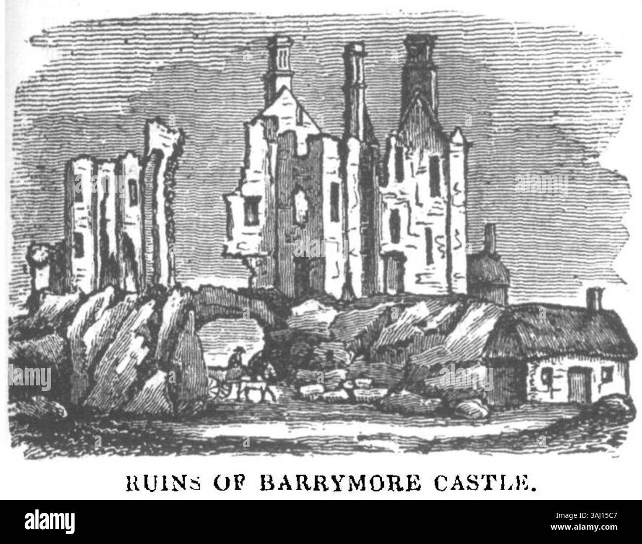 Illustration of the ruins of Barrymore Castle in 1835 from The Dublin ...