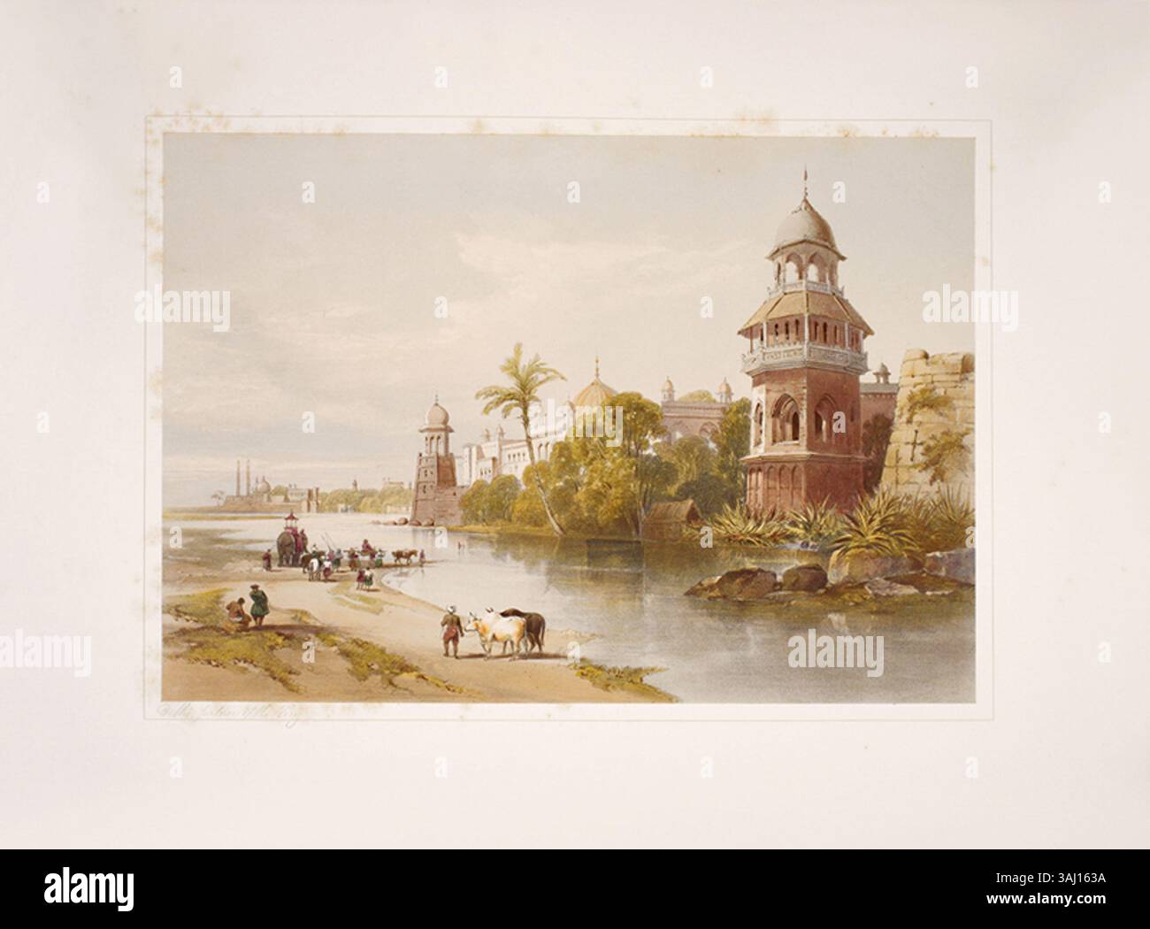 This hand-colored lithograph from the 1847 first edition of ...