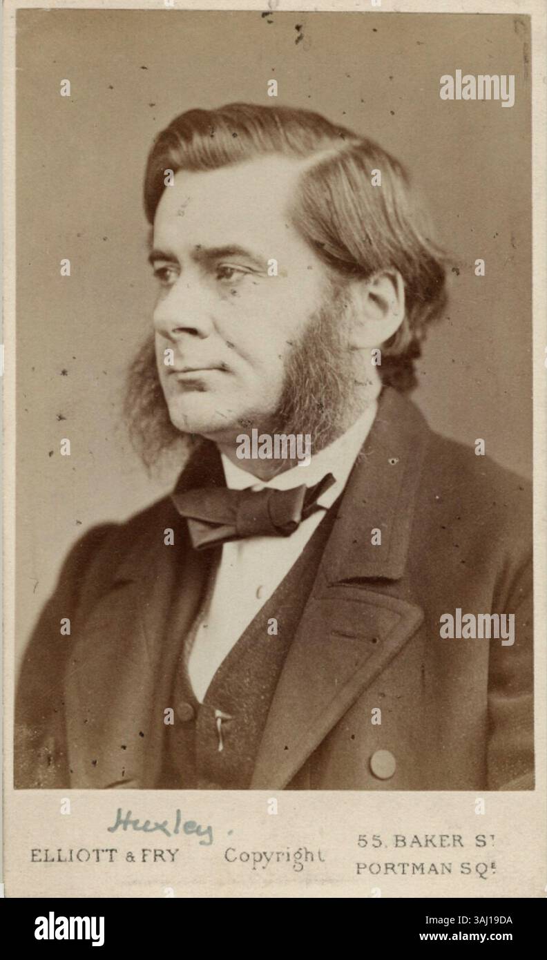 This photograph by Elliott & Fry, circa 1870, captures Thomas Henry ...