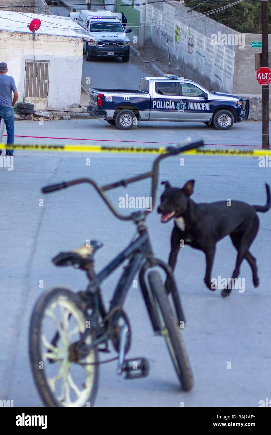 Crime scene murder mexico hi-res stock photography and images - Alamy