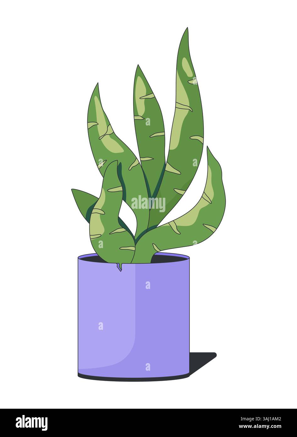 Green leafy snake plant in ceramic pot 2D cartoon object Stock Vector ...