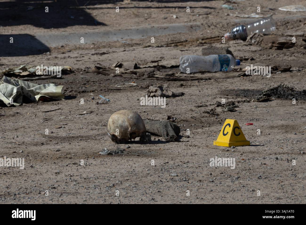 Forensic marker placed next to a human skull discovered at a crime ...