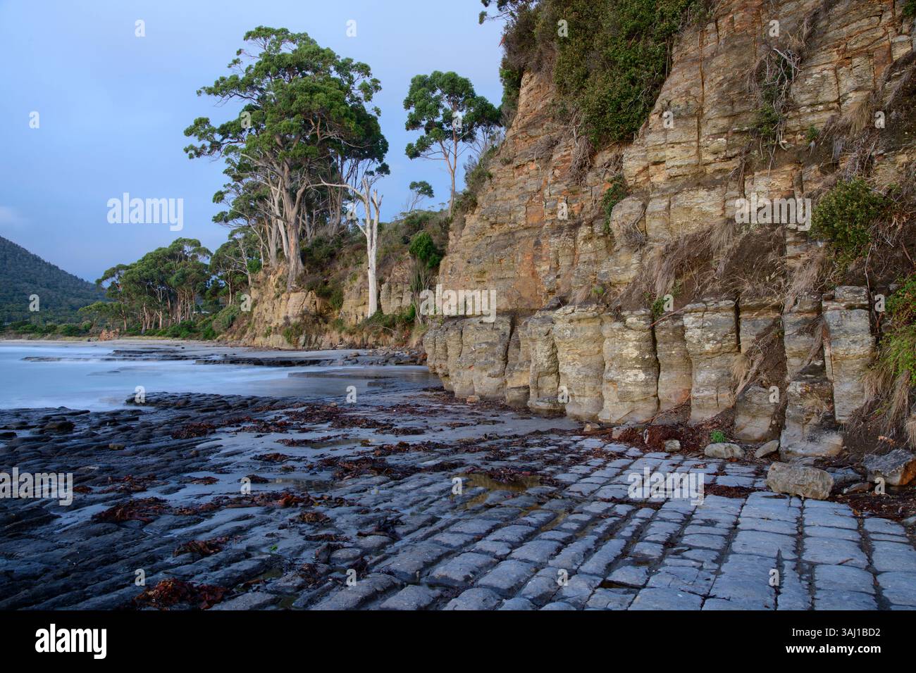 Australia; Tasmania; Eaglehawk Neck; Tessellated Pavement Stock Photo ...