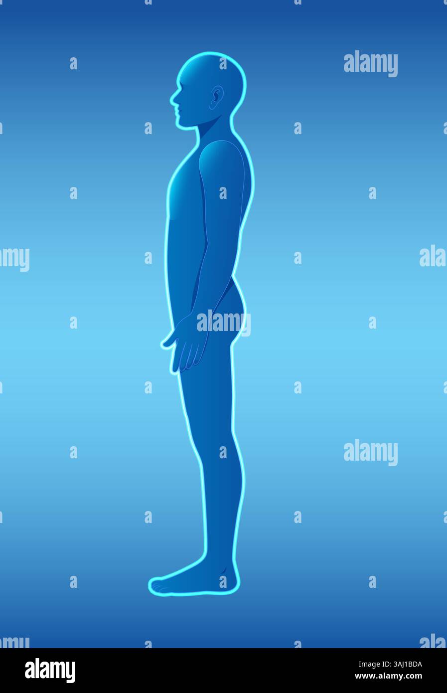 Human body digital view Stock Vector Images - Alamy