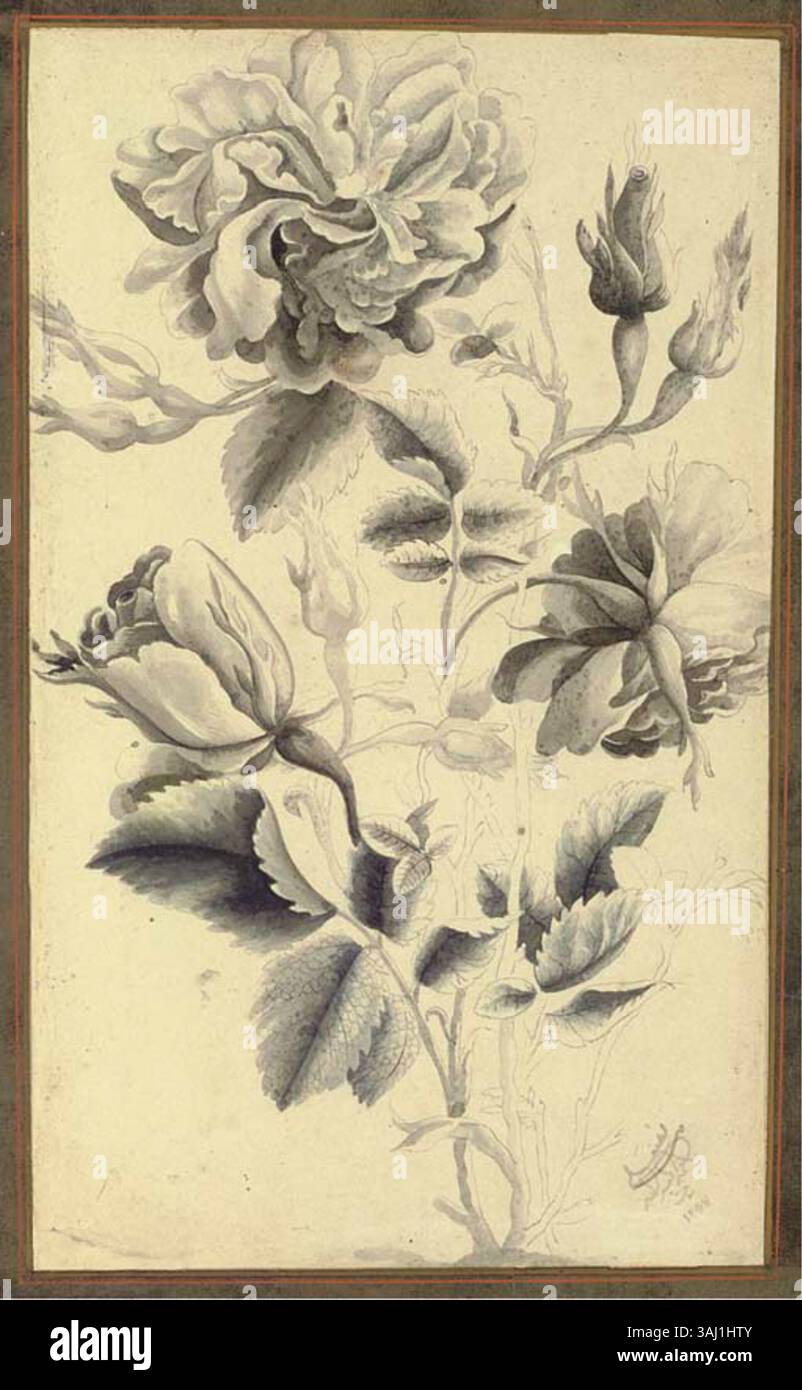 This 1831-1832 grisaille study of roses, signed by Lutf 'Ali, is a fine ...