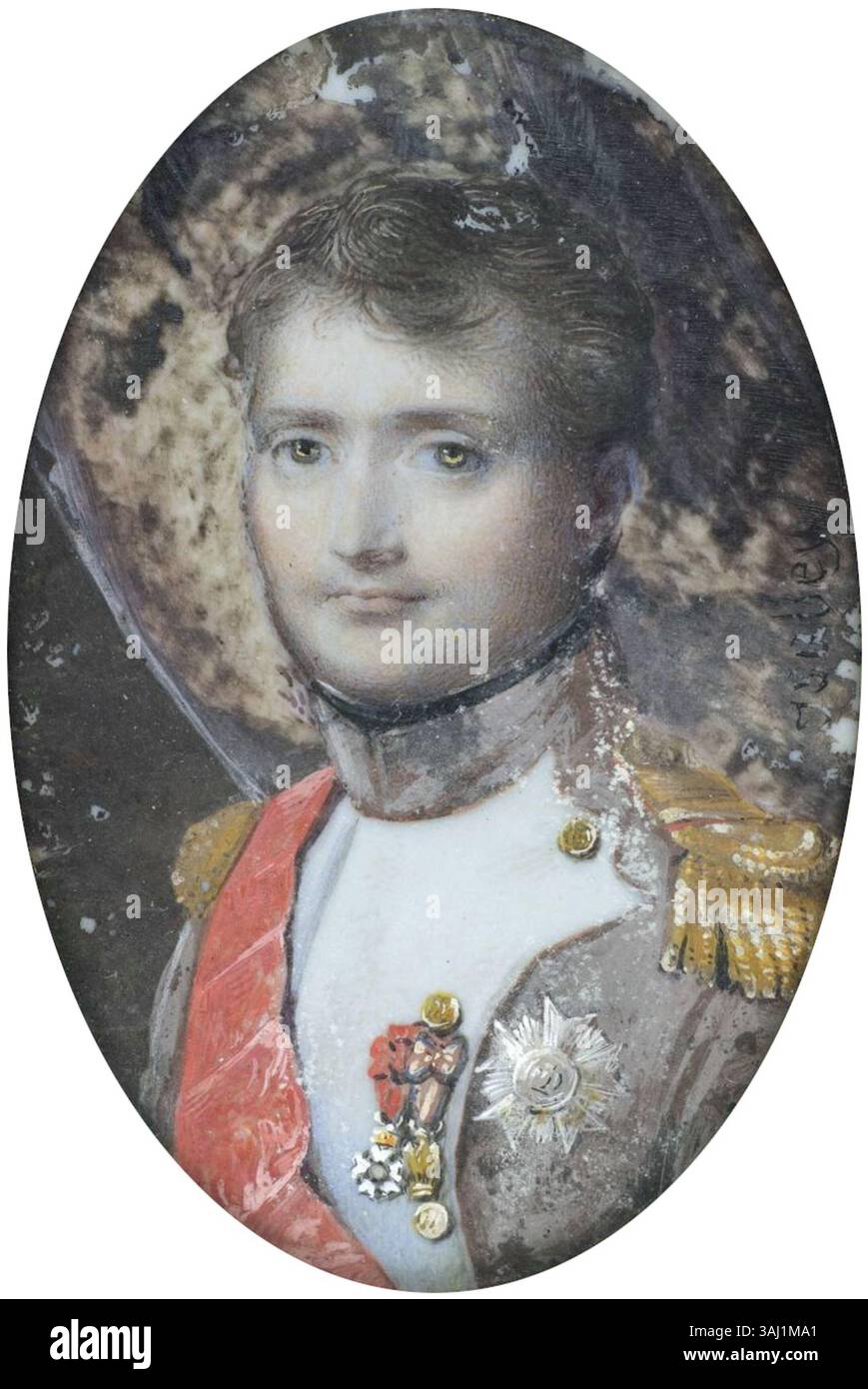 Napoleon i painting Cut Out Stock Images & Pictures - Alamy