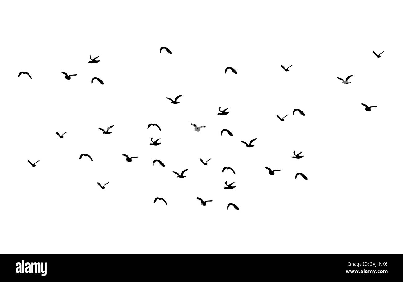 Birds flying vector illustration Stock Vector Image & Art - Alamy