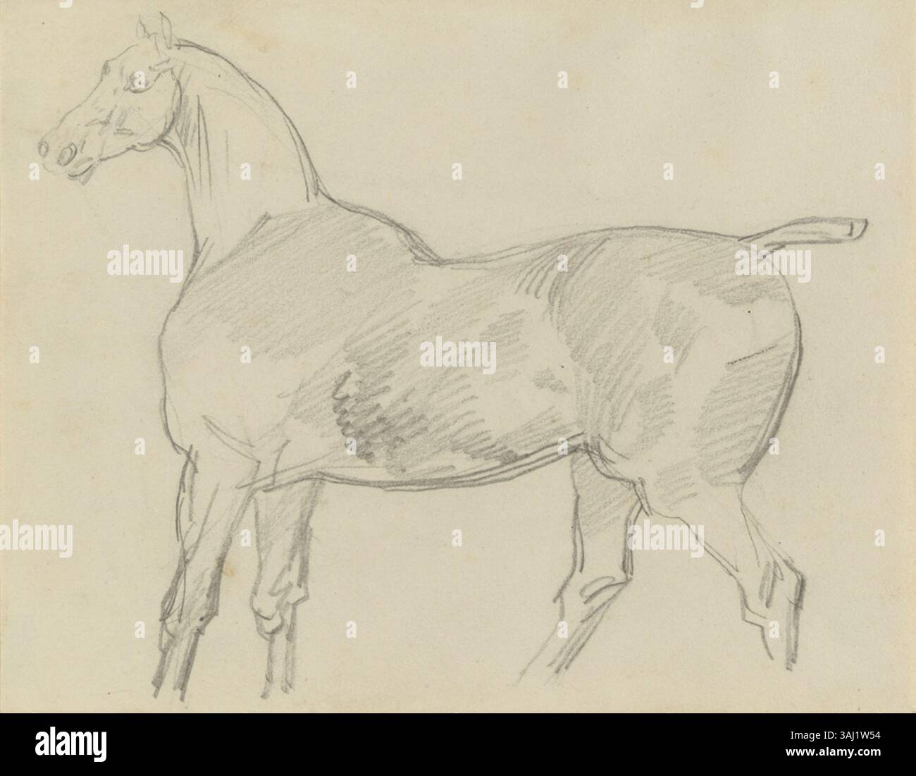 This graphite drawing by Théodore Géricault, created between 1810 and ...