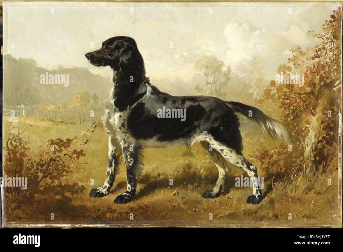 This 1853 painting by Alfred de Dreux depicts Dash, the dog of the Duke ...