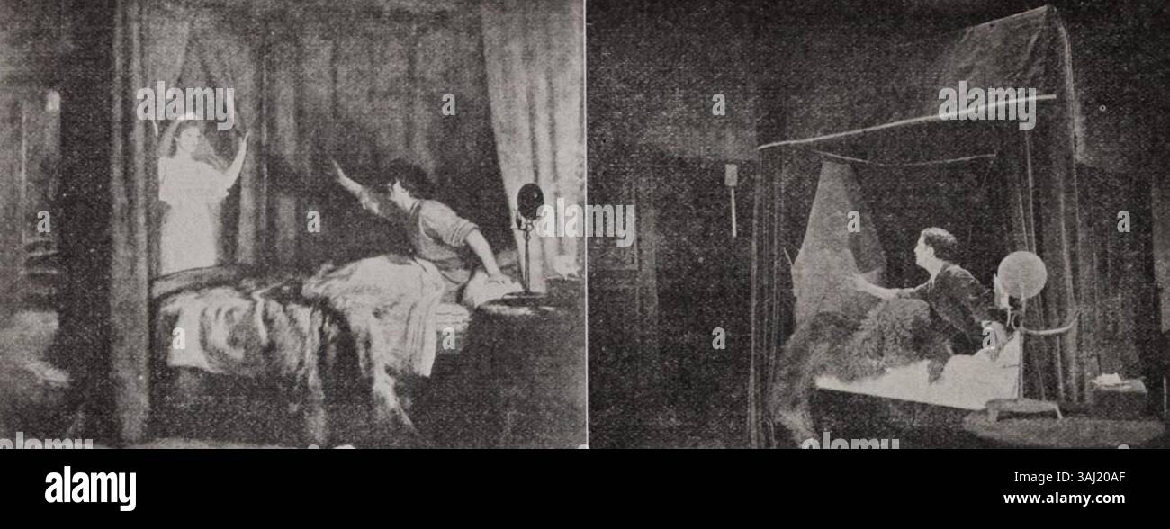 A comparison between John Everett Millais’ 1895 painting 'Speak! Speak!' and the 1926 American ...