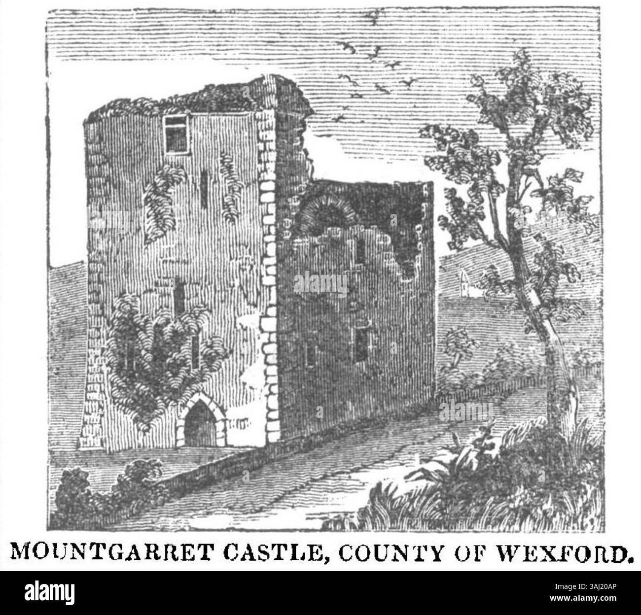 This illustration from the Dublin Penny Journal depicts Mountgarret ...