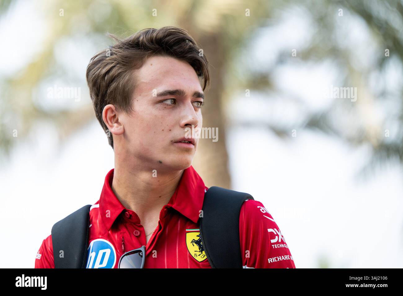 Dino Beganovic (Scuderia Ferrari, Young Driver Academy und Ersatzfahrer ...