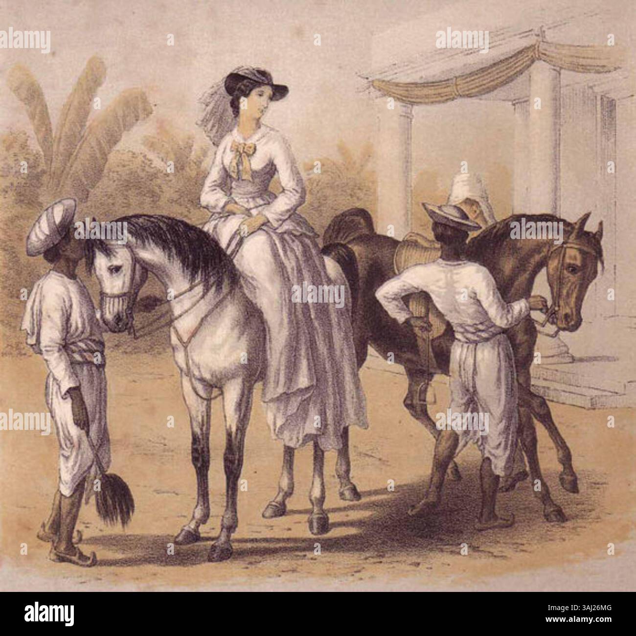 The frontispiece from 'Curry and Rice on Forty Plates' by George ...