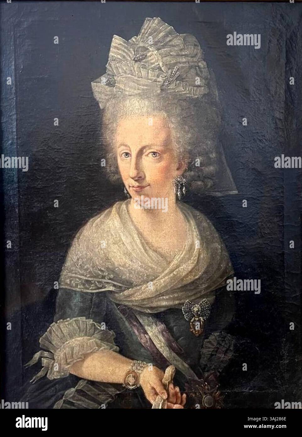 This 18th-century oil portrait depicts Archduchess Maria Amalia of ...
