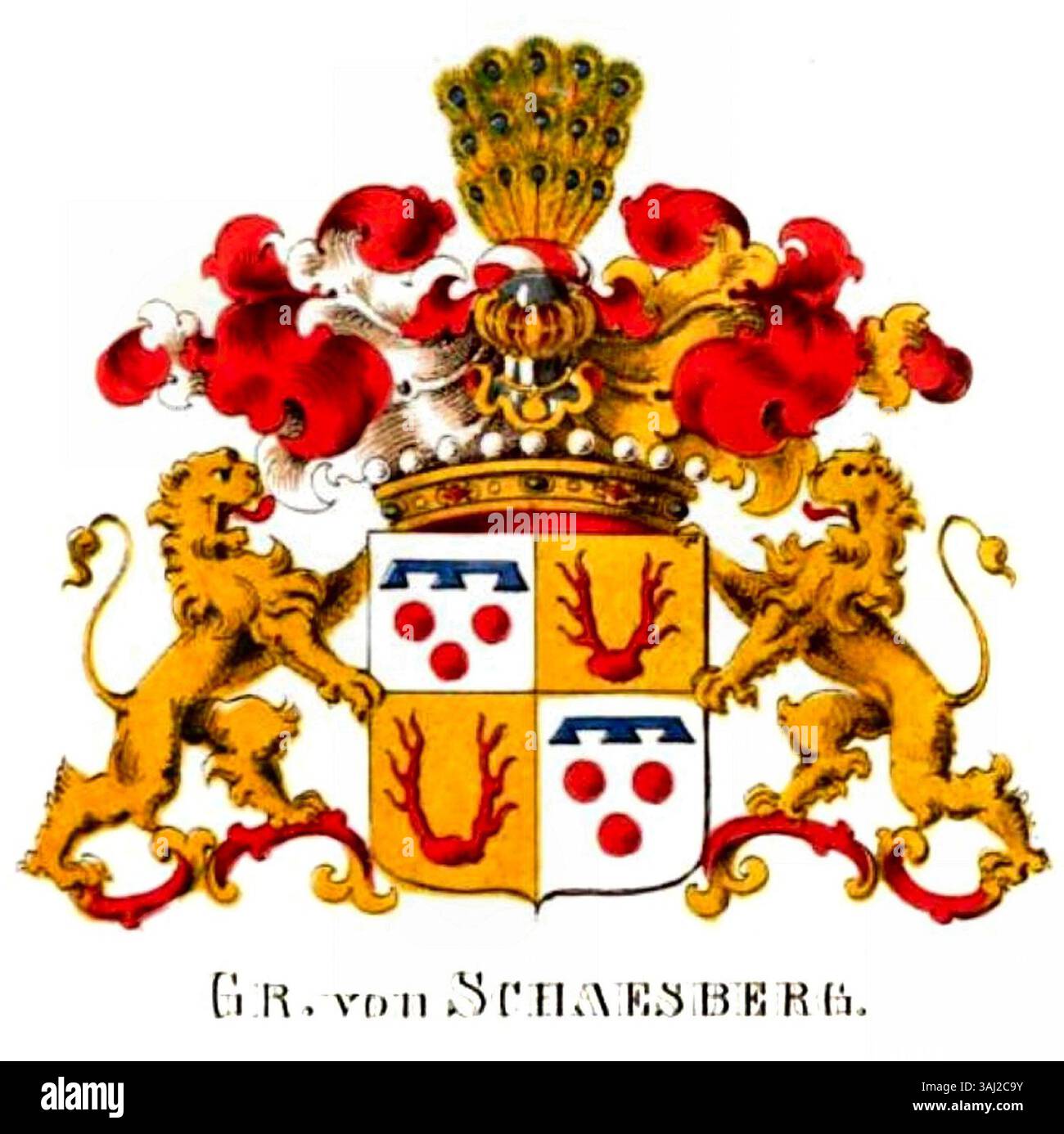 Coat of arms of the Counts of Schaesberg, designed by Leonhard Dorst in ...