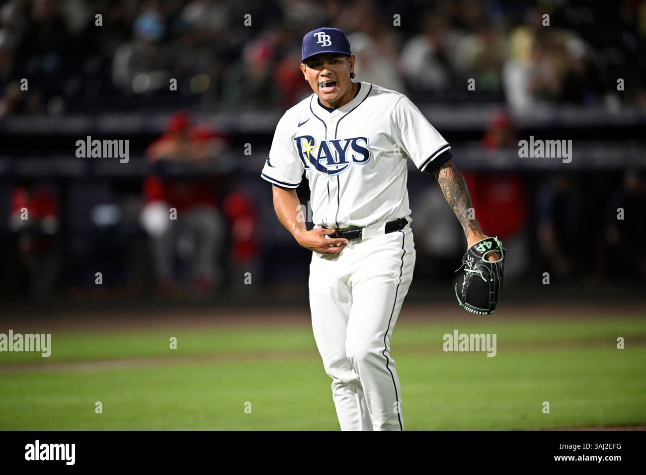 lTampa Bay Rays pitcher Manuel Rodríguez reacts after getting a ...