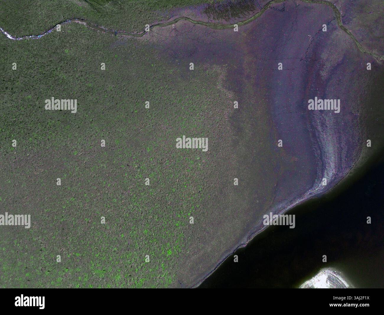 A top-down aerial shot shows a textured landscape where marshy, green ...