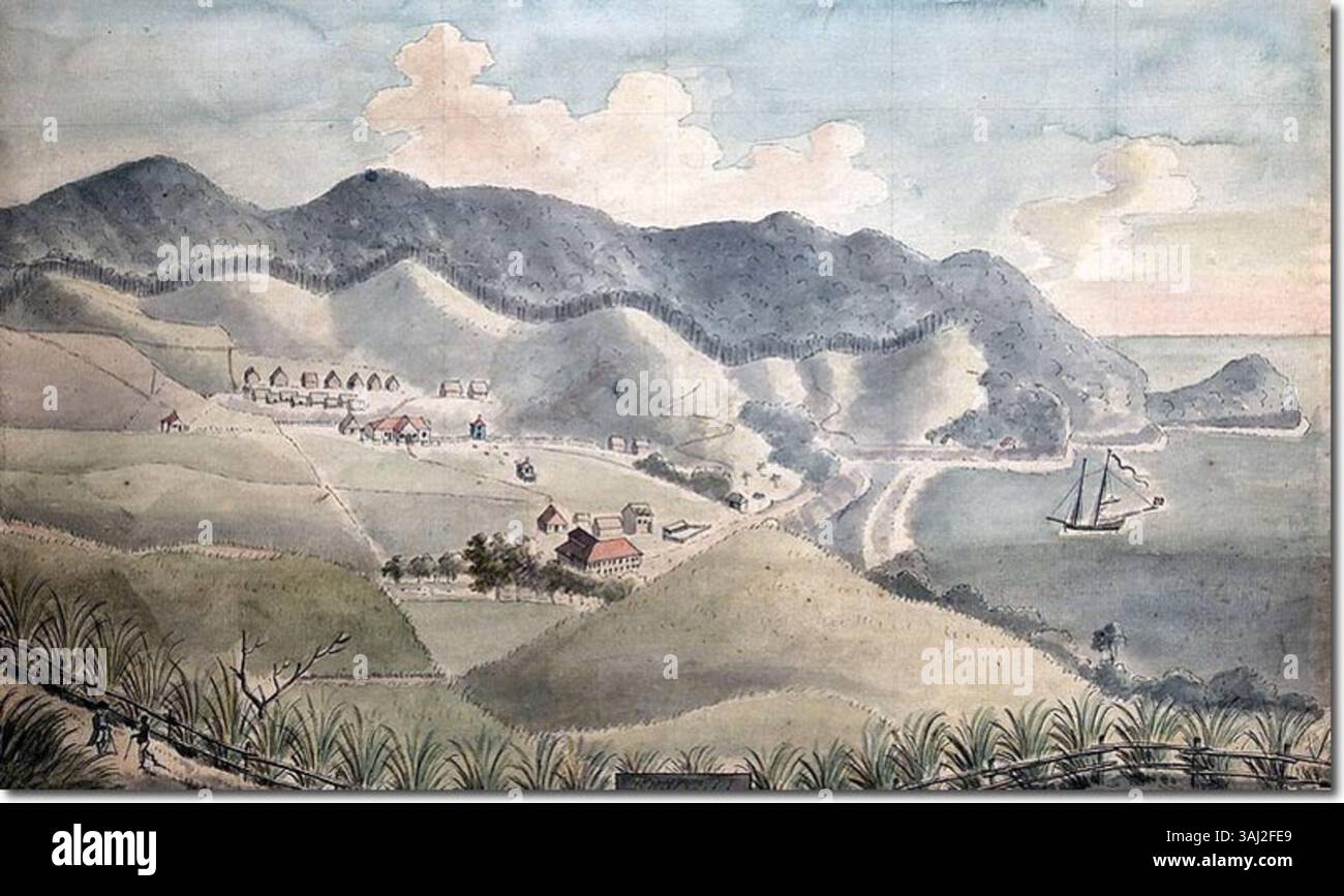This 1776 depiction of Dominica shows a settlement on cleared land ...