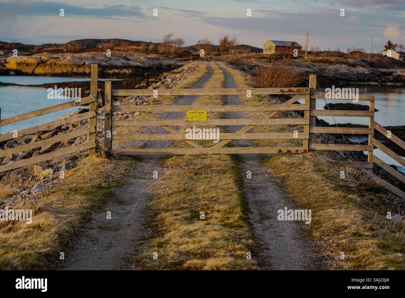 The sheep gate on the coastal gravel road in the village in Norway. You ...