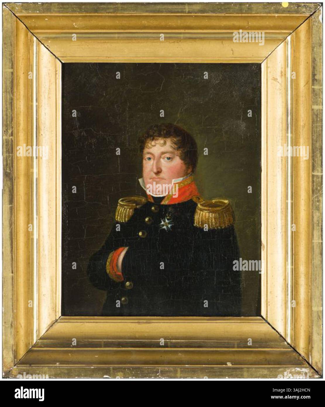 This 1799 oil on panel portrait depicts Johannes Galenus, Baron van ...