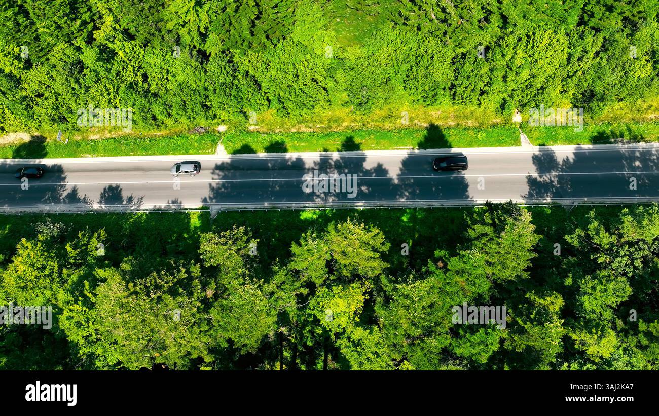 Aerial View of Cars Driving Through Forest Road. A top-down aerial view ...