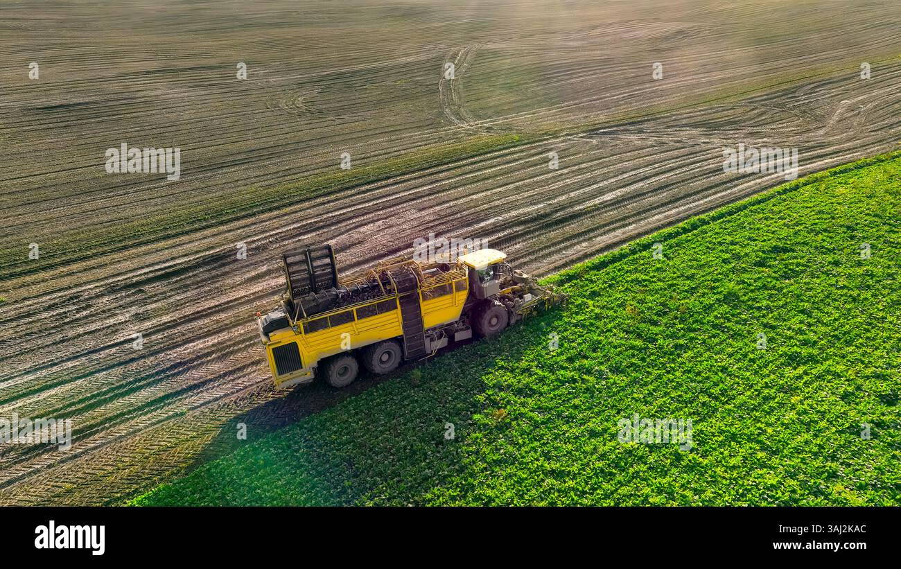 Yellow agricultural harvester in a green and brown field. An ...