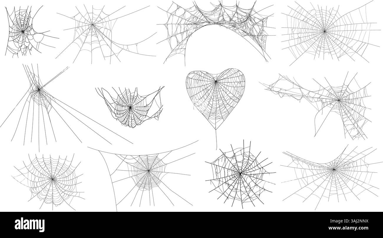 Spooky halloween old cobweb with various sizes and shapes. Old spider ...