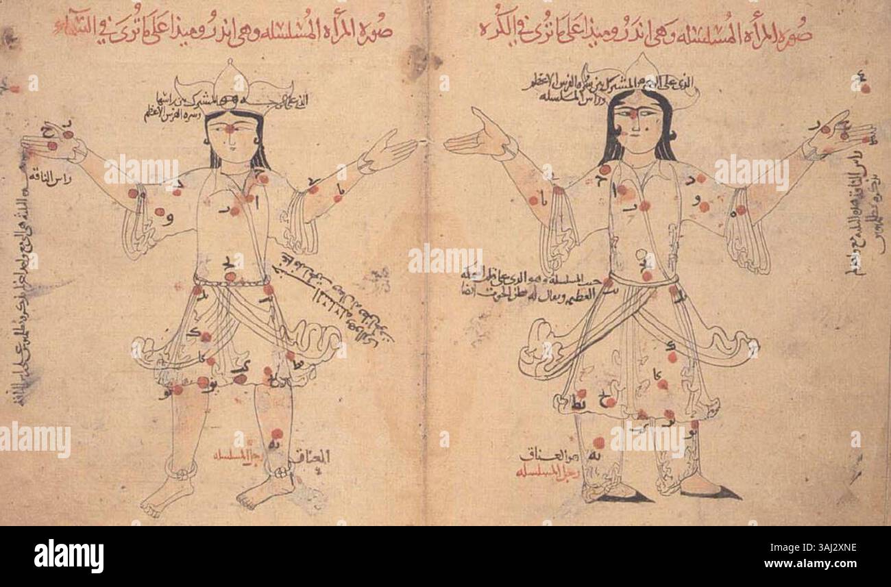 MS.2.1998 Andromeda is a 12th-century manuscript that depicts the ...
