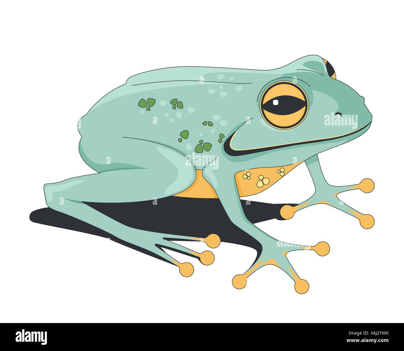 Green tree frog lo-fi 2D cartoon character Stock Vector Image & Art - Alamy