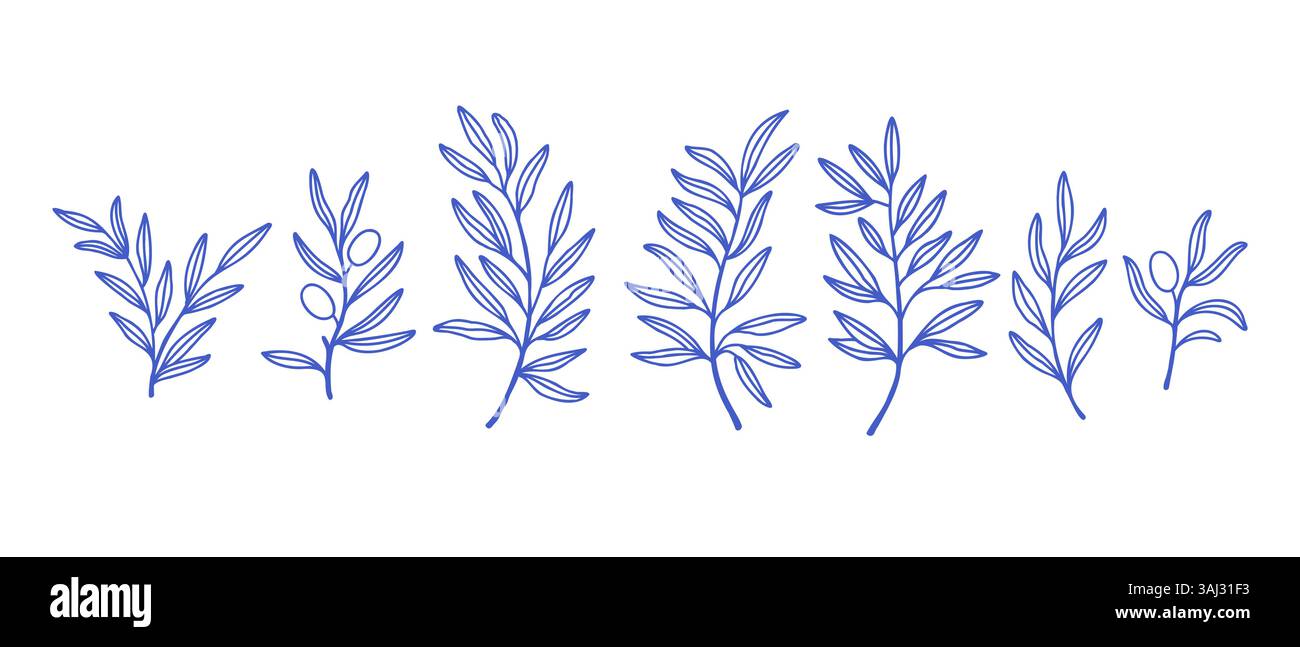 Olive branches set. Collection of isolating leaves and branches in line ...