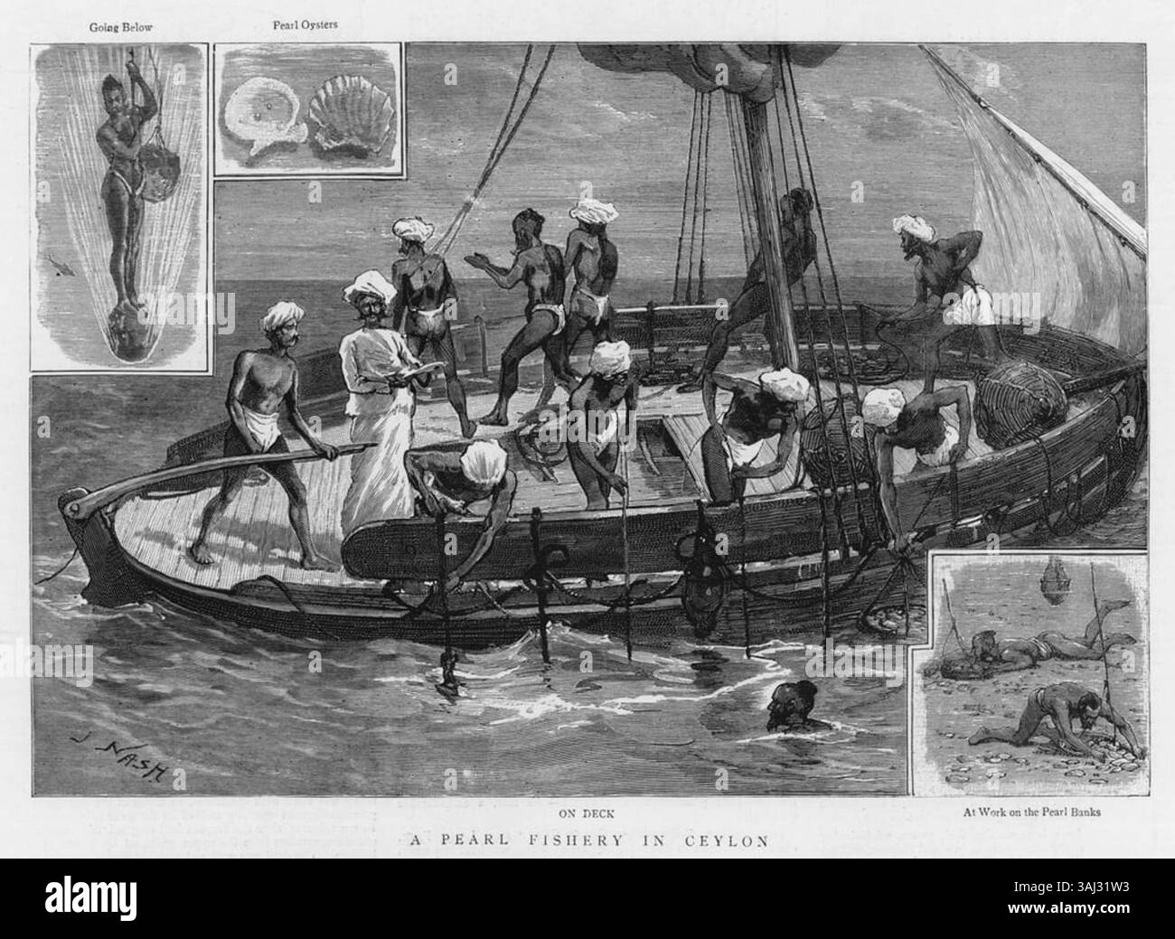This 1887 wood engraving by Joseph Nash illustrates a pearl fishery in ...