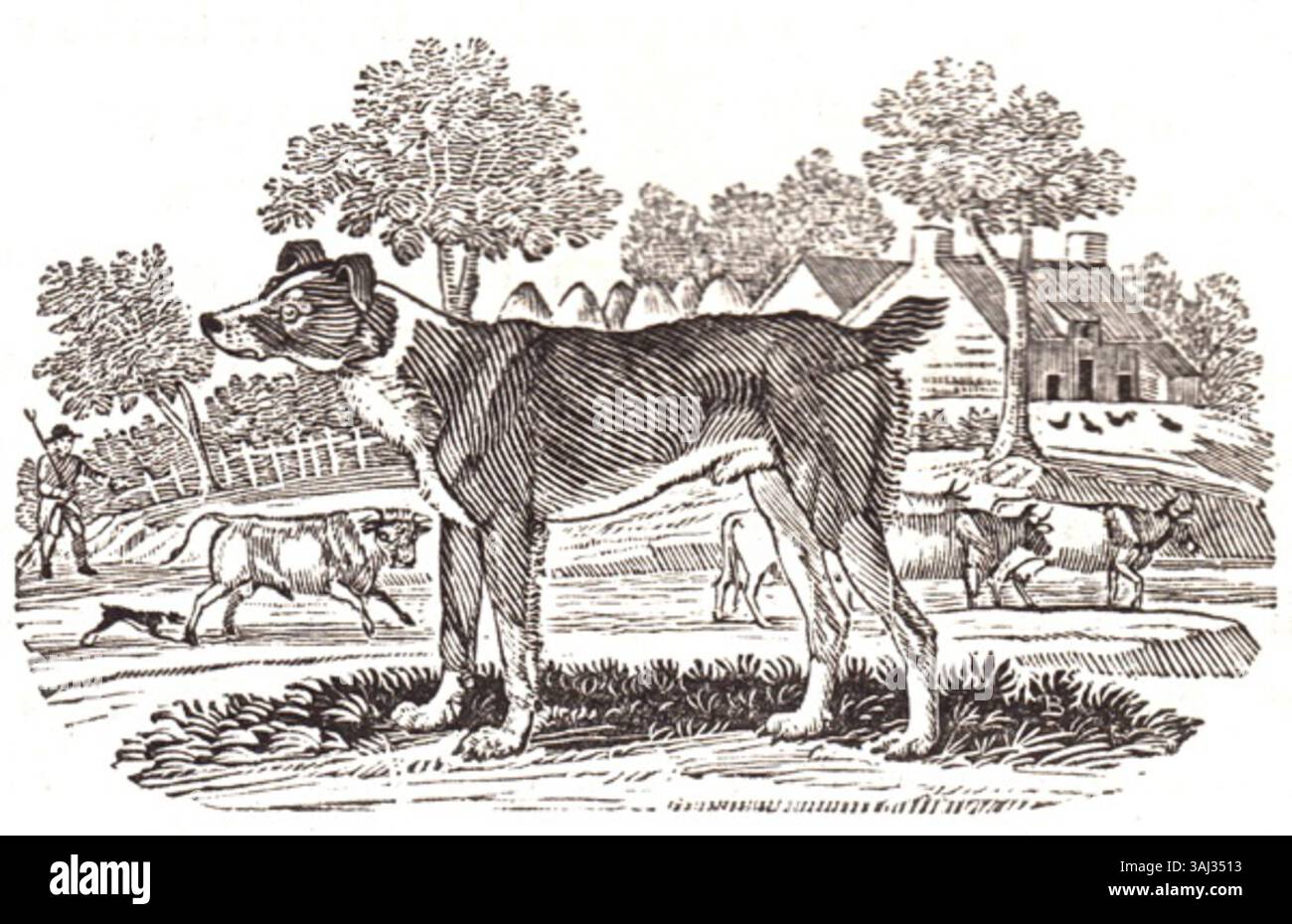 18th century documentation Cut Out Stock Images & Pictures - Alamy