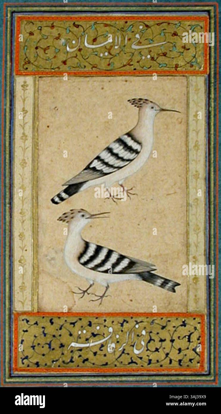 A Persian artwork depicting hoopoes, created around 1590. The artwork ...