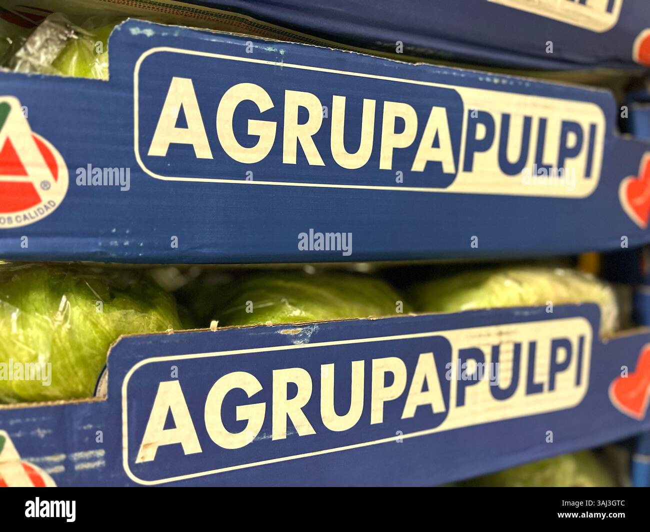 Spanish produce, supply chain, iceberg packaging, lettuce crates ...