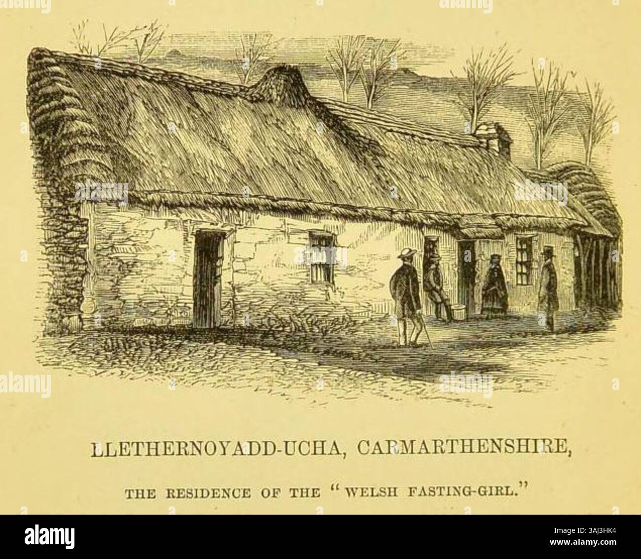 The house of Sarah Jacob, known as the Welsh fasting girl, located in ...