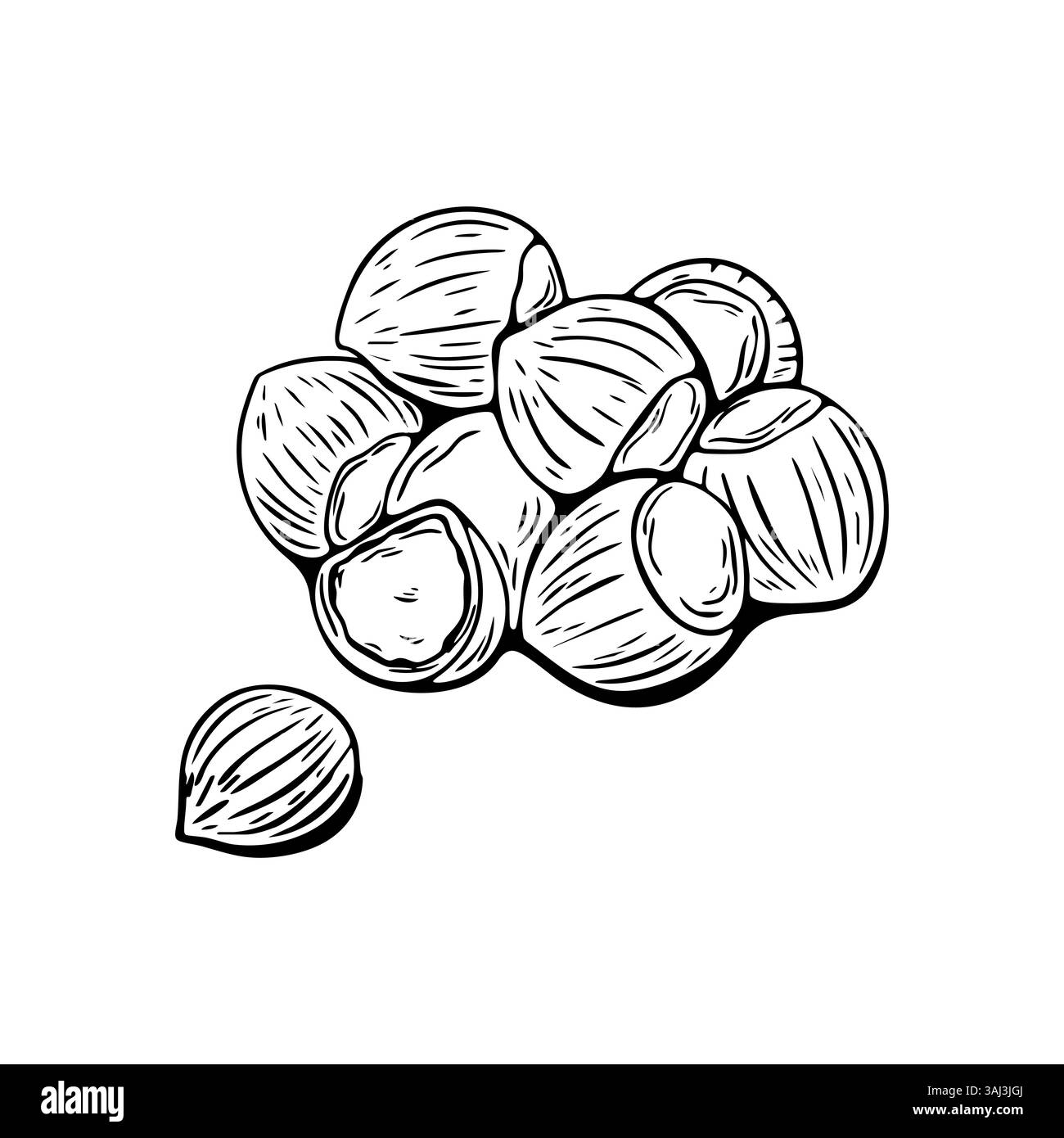 White hazelnuts in black hi-res stock photography and images - Alamy
