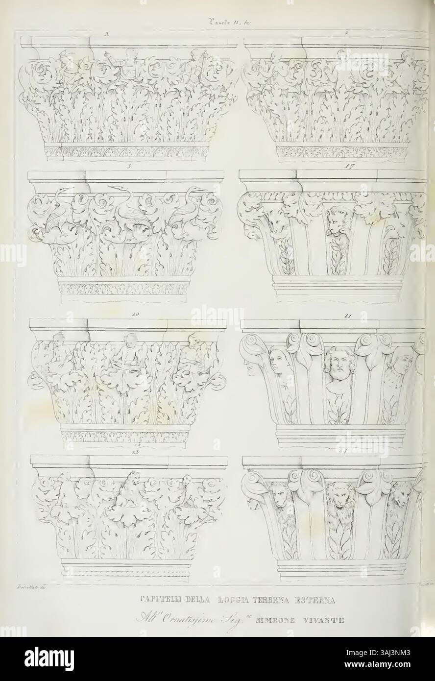 An engraving from Zanotto's 1853 volume showing the Capitelli Piazzetta ...