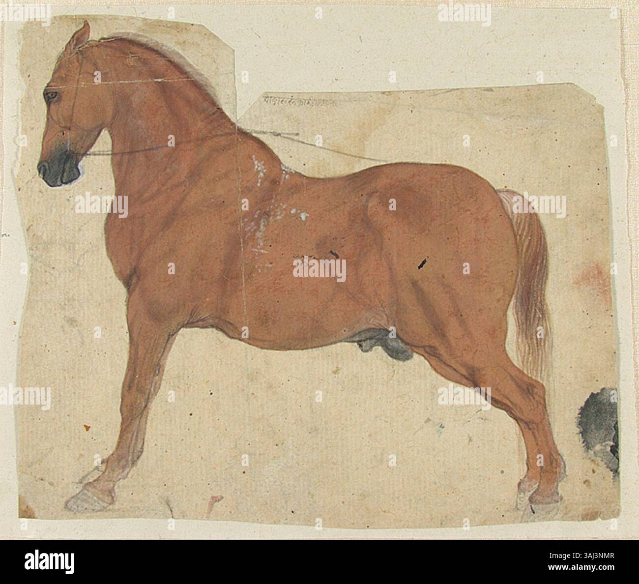 This painting from circa 1850 is a detailed study of a chestnut horse ...