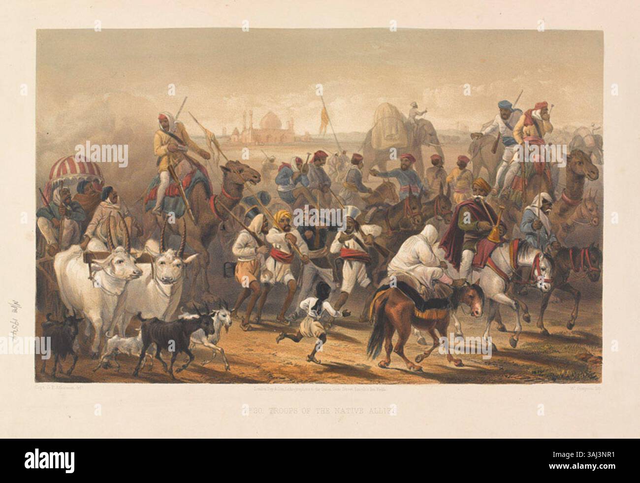 Native troops of the allies hi-res stock photography and images - Alamy