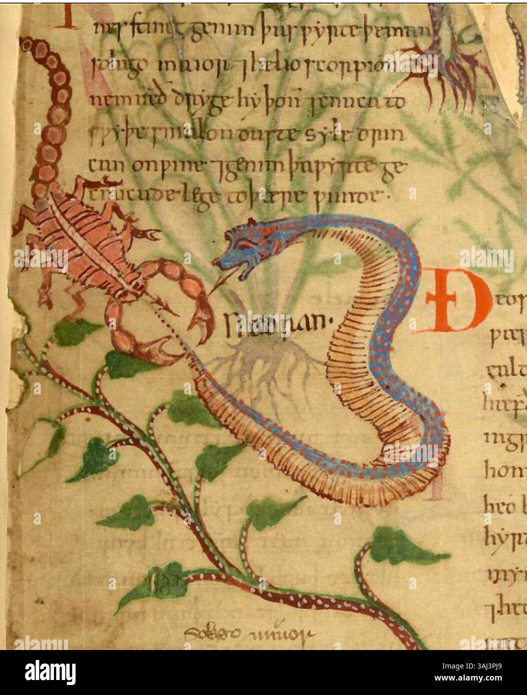 This Anglo-Saxon illustration from around 1050, known as 'Cotton ...