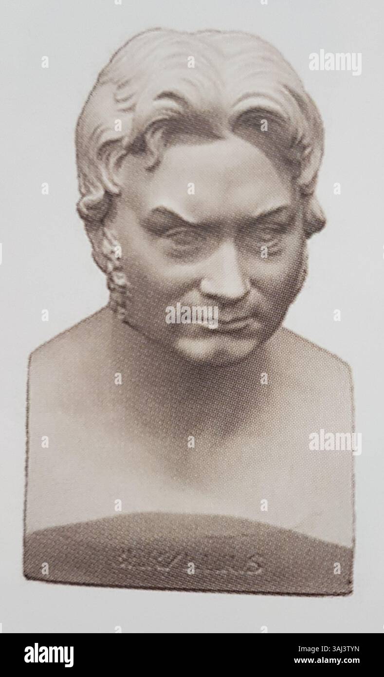 A portrait of Jöns Jacob Berzelius by Christian Friedrich Tieck ...