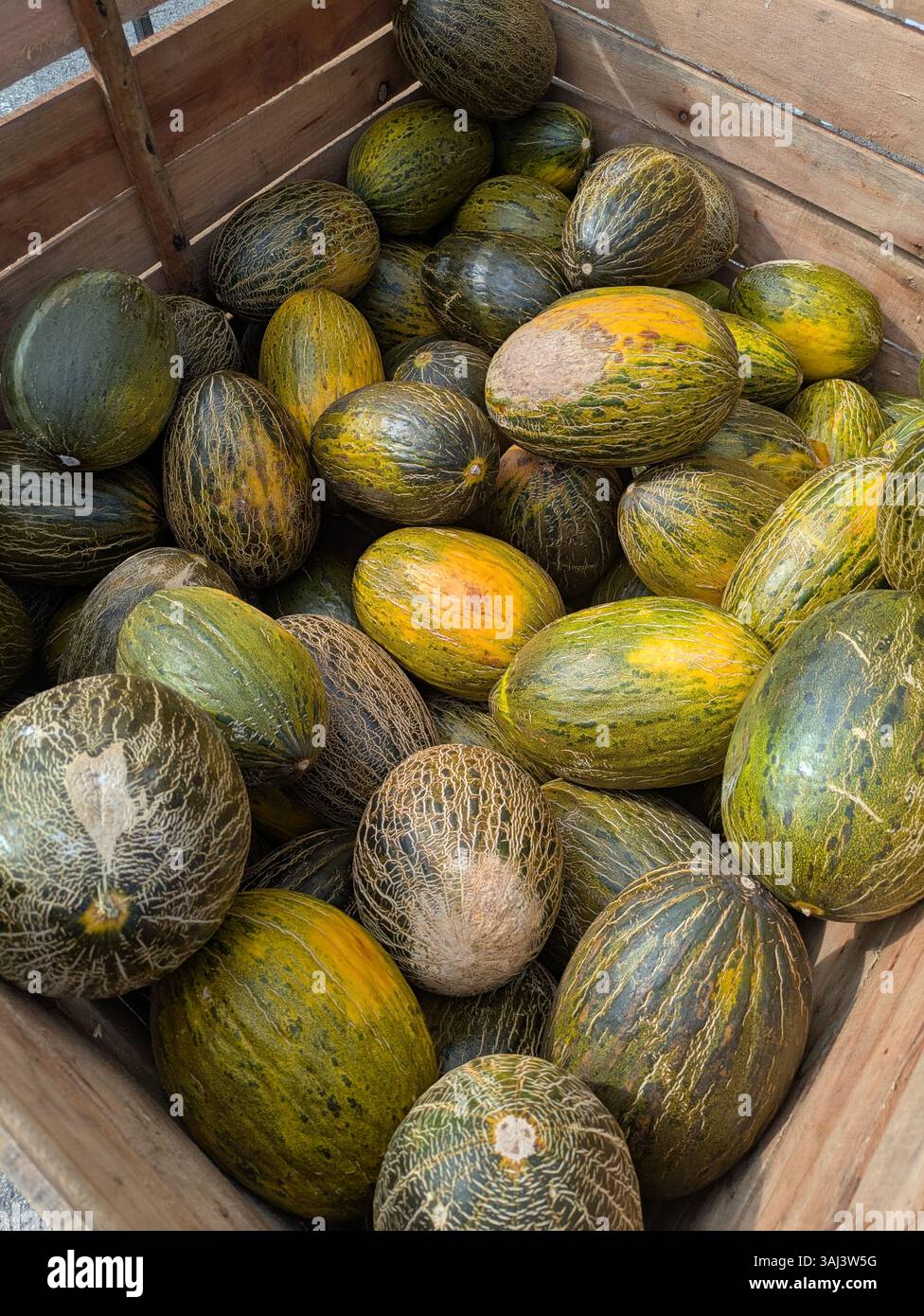 Huge melons hi-res stock photography and images - Alamy