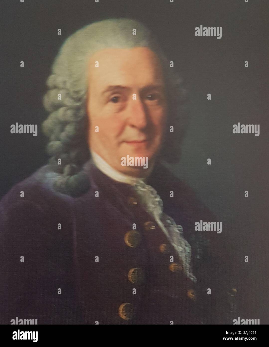 This 18th-century portrait of Carl Linnaeus (1707-1778), painted by ...