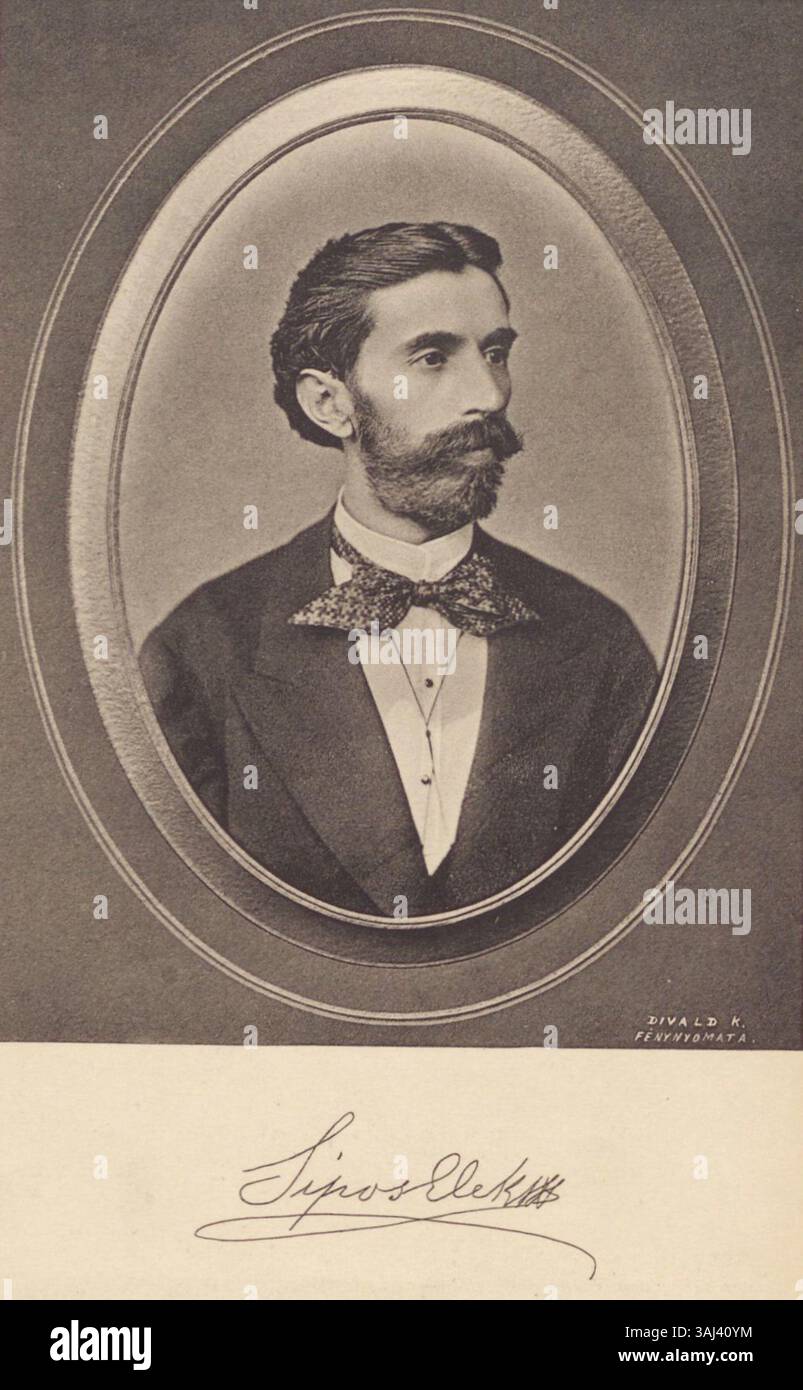 Károly Divald's 1886 painting of Sipos Elek, a Hungarian school ...