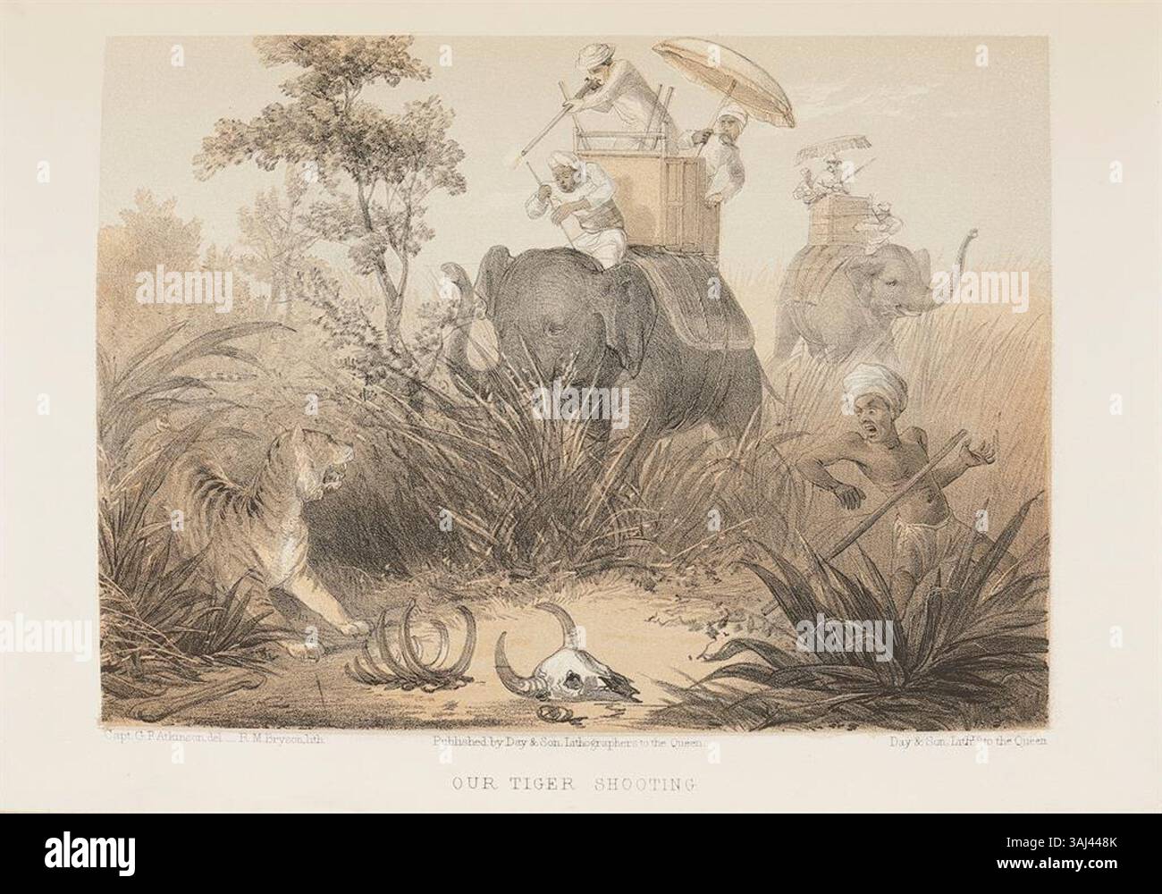 'Our Tiger-Shooting', plate 26 from 'Curry and Rice on Forty Plates ...