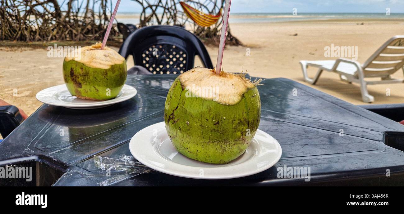 Barra velha beach at Soure, Marajo in Para, Brazil. Beautiful natural ...