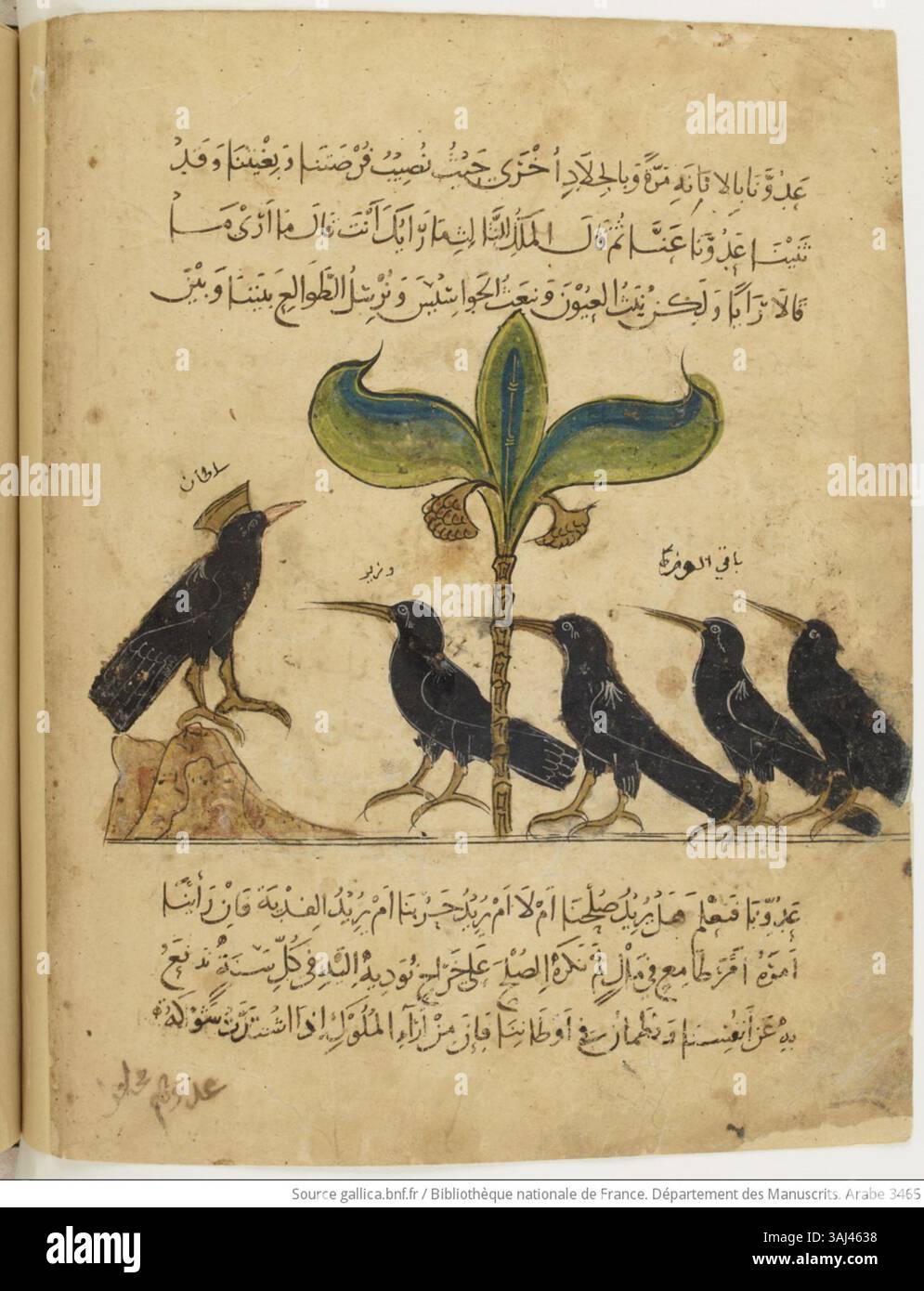 This folio from the 13th-century manuscript 'Kalila wa Dimna,' on page ...
