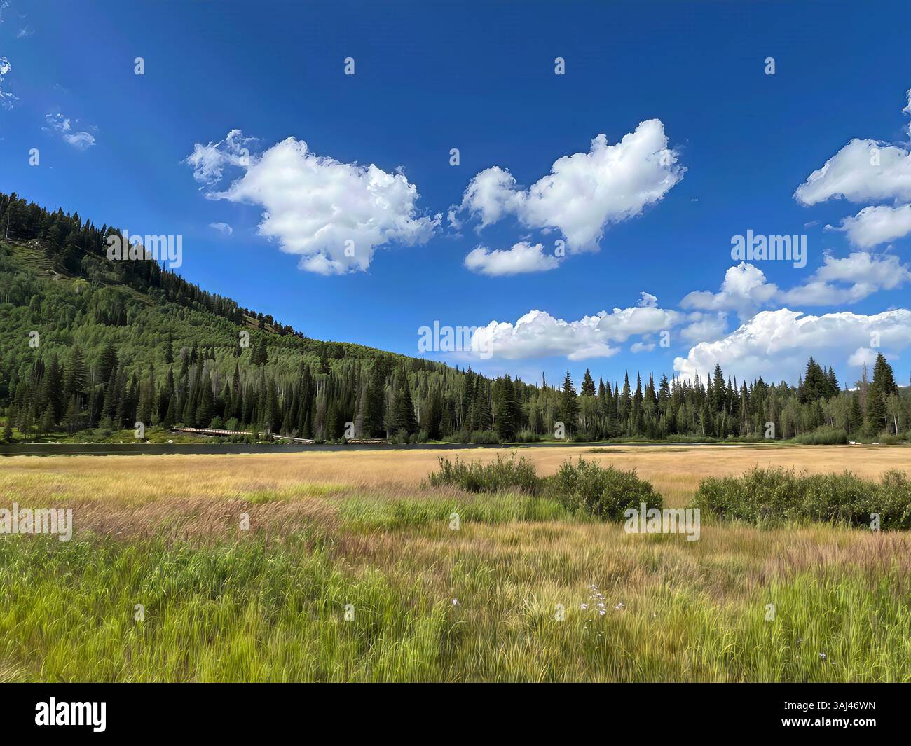 Pine slopes hi-res stock photography and images - Alamy